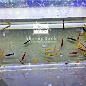 ShrimpRack™ 10 Mixed Color Neocaridina Shrimp Skittles Live Freshwater Aquarium Shrimps Beeding Age Young Adults 1/2-1 inch Long. Live Arrival Guarantee.