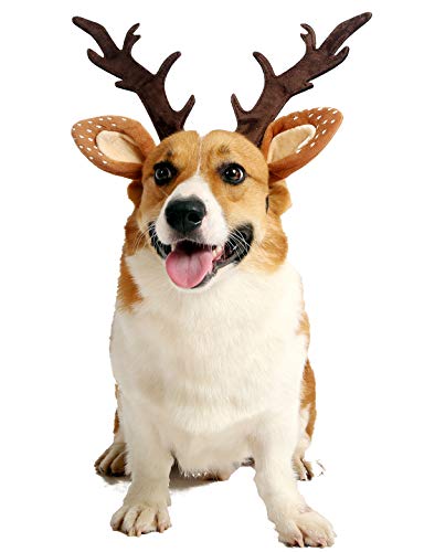 Impoosy Pet Deer Costume Hat Merry Christmas Dog Antlers Headbands Elastic Band Adjustable Reindeer Cap Hair Headwear Accessories (Small)