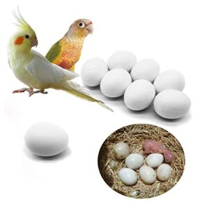 foiburely 8 pcs solid parrot plastic eggs hatching eggs green cheek, lorikeet&ringneck dove, quaker, cockatiel. trick the birds to stop laying eggs, plastic eggs