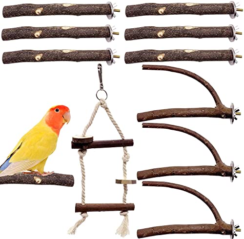 EBaokuup Bird Parrot Perch Stand Set - 10 PCS Natural Wood Bird Parakeet Stand Branch, Fork Perch Rod Stand Paw Grinding Stick Bird Cage Accessories for Pet Budgies Cockatiels Conure Lovebirds