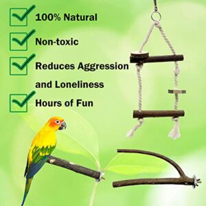 EBaokuup Bird Parrot Perch Stand Set - 10 PCS Natural Wood Bird Parakeet Stand Branch, Fork Perch Rod Stand Paw Grinding Stick Bird Cage Accessories for Pet Budgies Cockatiels Conure Lovebirds