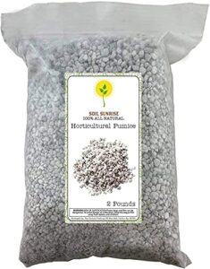 horticultural bonsai pumice soil amendment for bonsai and cactus plants-parent (2 lb)