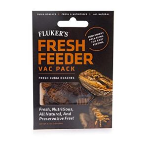 fluker's fresh feeder vac pack dubia roaches - great for insect-eating reptiles, birds, or small animals, 0.7oz