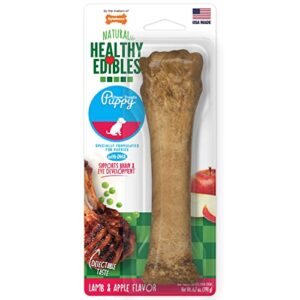 nylabone healthy edibles puppy natural long lasting dog chew treats lamb & apple x-large/souper (1 count)