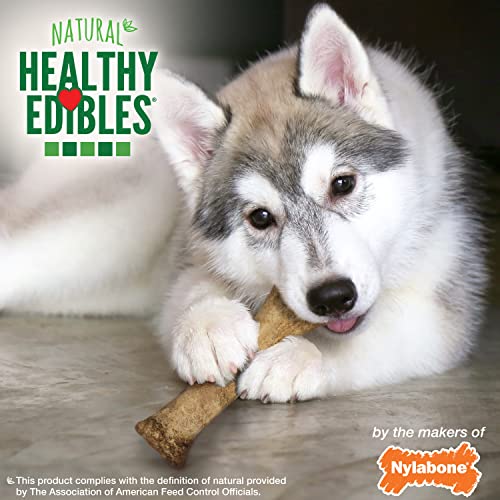 Nylabone Healthy Edibles Puppy Natural Long Lasting Dog Chew Treats Lamb & Apple X-Large/Souper (1 Count)