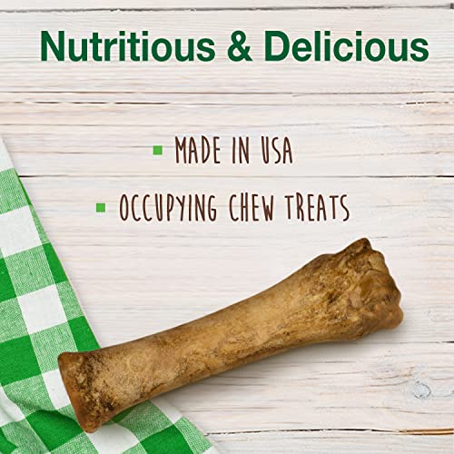 Nylabone Healthy Edibles Puppy Natural Long Lasting Dog Chew Treats Lamb & Apple X-Large/Souper (1 Count)