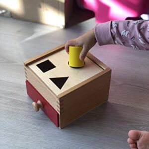 Springbird Montessori Multiple Shapes Permanence Object Box with Drawer