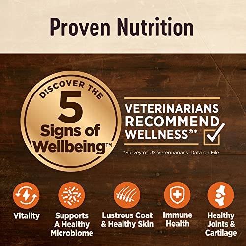 Wellness CORE Digestive Health Dry Dog Food with Wholesome Grains, Highly Digestible, for Dogs with Sensitive Stomachs, Made in USA with Real Protein (Small Breed, Chicken & Brown Rice, 12-Pound Bag)