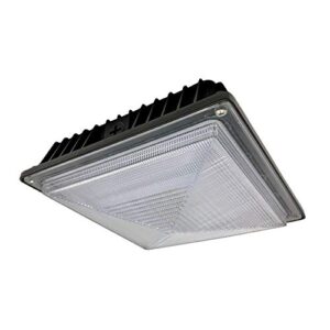 htg supply howard led canopy light | indoor / outdoor gas station parking lot warehouse workshop | 39w 5000k natural daylight white 3100 lumens | die-cast aluminum waterproof housing | 120v-277v