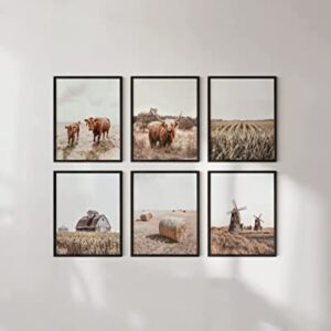 HAUS AND HUES Highland Cow Art and Farmhouse Wall Decor Cow Wall Art and Farmhouse Pictures | Cow Decor | Cow Prints Wall Art | Cow Pictures Wall Décor