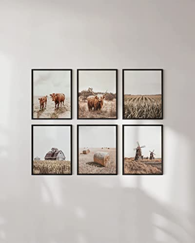 HAUS AND HUES Highland Cow Art and Farmhouse Wall Decor Cow Wall Art and Farmhouse Pictures | Cow Decor | Cow Prints Wall Art | Cow Pictures Wall Décor