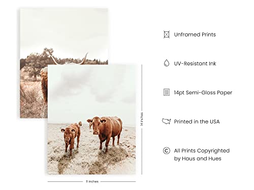 HAUS AND HUES Highland Cow Art and Farmhouse Wall Decor Cow Wall Art and Farmhouse Pictures | Cow Decor | Cow Prints Wall Art | Cow Pictures Wall Décor