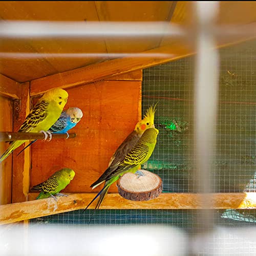 Parrot Wood Round Stand, Natural Wooden Bird Cage Chew Toy Bird Perch Platform for Canary Parakeet Cockatiel Parrot Sparrow