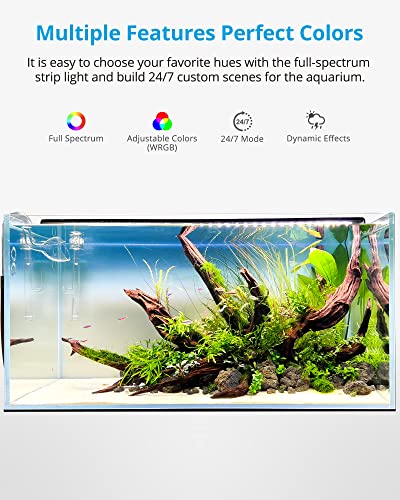 NICREW RGB+W 24/7 LED Aquarium Light with Remote Controller, Full Spectrum Fish Tank Light for Planted Freshwater Tanks, Planted Aquarium Light with Extendable Brackets to 18-24 Inches, 17 Watts