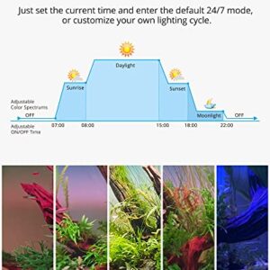 NICREW RGB+W 24/7 LED Aquarium Light with Remote Controller, Full Spectrum Fish Tank Light for Planted Freshwater Tanks, Planted Aquarium Light with Extendable Brackets to 18-24 Inches, 17 Watts