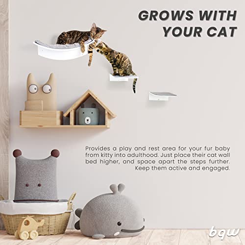 bqw Floating Cat Shelf Wall Mounted Cat Bed Furniture Climbing Wall for Cat Perching Sleeping Lounging with 2 Steps (Curved)