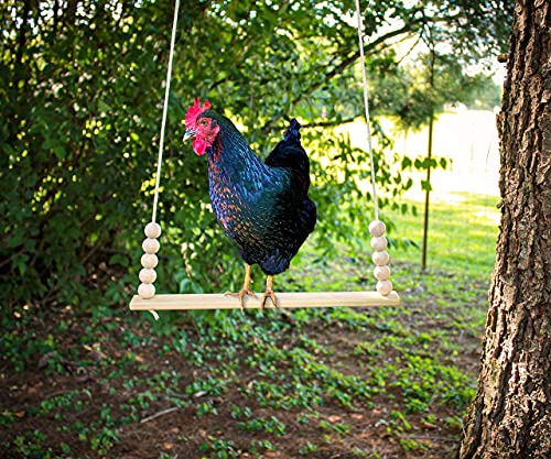 Chicken Swing Coop Toy Made in USA! Natural Wood Safe Durable Flat Bar Perch Ladder for Poultry Run Rooster Hens Chicks Pet Parrots Macaw Entertainment Stress Relief for Birds