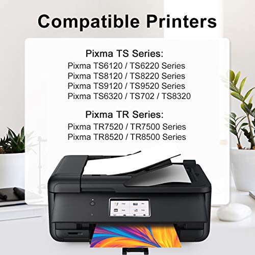 H&BO TOPMAE Compatible Ink Cartridge Replacement for Canon 280 281 PGI-280XXL CLI-281XXL Ink for PIXMA TR8520 TR7520 TS6120 TS6220 TS702 TS6100 TS6200 TS9520 TS6320 TS9521C Printer (10 Pack)