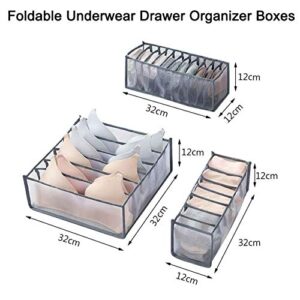 EddHomes Underwear Drawer Organizer Divider, Bra Drawer Organizer Divider Storage Foldable Bra Underwear Drawer Organizer Women for Underwear Bras Socks - (Grey/3 Set)…