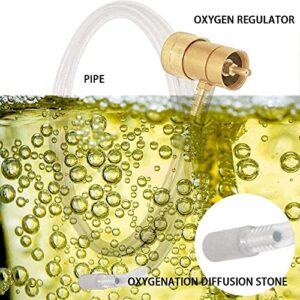 Joywayus Oxygen Injection System Home Brew Oxygenation Kit Diffusion Stone