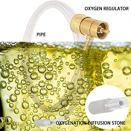 Joywayus Oxygen Injection System Home Brew Oxygenation Kit Diffusion Stone