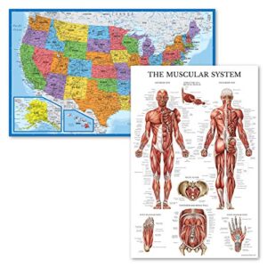 2 pack - usa map poster [blue ocean] & muscular system anatomy chart (laminated, 18" x 29")