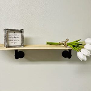 SkateShelf Skateboard Industrial Pipe Floating Shelf (Longboard)