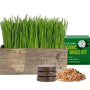 the cat ladies cat grass kit complete with rustic wood planter, organic seed and soil. easy to grow - great for indoor or outdoor cat, dogs and other pets. prevent hairballs and aid digestion…