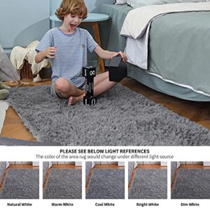 BAYKA Machine Washable Fluffy Area Rug Indoor Ultra Soft Shag Area Rug for Bedroom, Non-Slip Floor Carpet for Kids Home Decor Nursery Rug 3x5 Grey