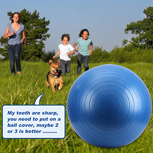 Herding Ball for Horse, 40" Anti-Burst Giant Soccer Ball Toy for Horses, Pump Included