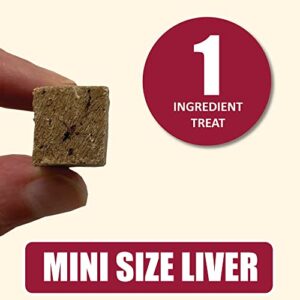 Whole Life Pet Mini Ones - Beef Liver Treats for Small Dogs or Training Treats for Any Size Dog, Human Grade, One Ingredient, Made in The USA