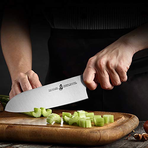 TUO Santoku Knife 5.5 inch Small Kitchen Knife Pro Asian Chef Knife Cooking Knife for Vegetable Fruit and Meat, AUS-8 Stainless Steel with Comfortable Handle, Gift Box Ring Lite Series