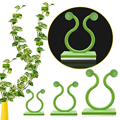 Lasyman Plant Clips-Plant Climbing Wall Fixture Clips 110PCS, Invisible Clips for Climbing Plants，Self-Adhesive Plant Wall Clips for Plant Support, Sticky Plant Fixture Clips Plant Holder for Pothos