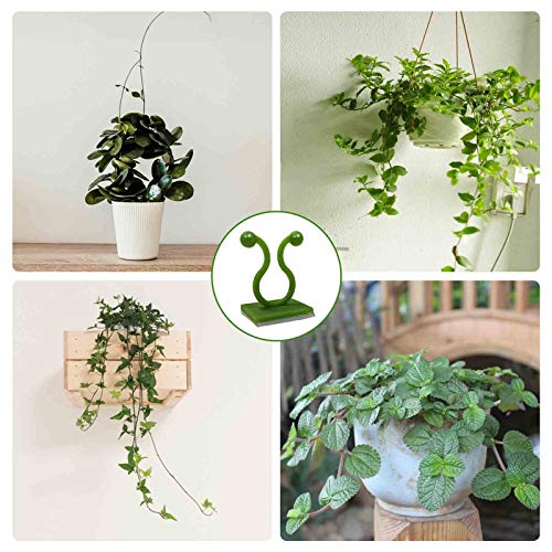 Lasyman Plant Clips-Plant Climbing Wall Fixture Clips 110PCS, Invisible Clips for Climbing Plants，Self-Adhesive Plant Wall Clips for Plant Support, Sticky Plant Fixture Clips Plant Holder for Pothos