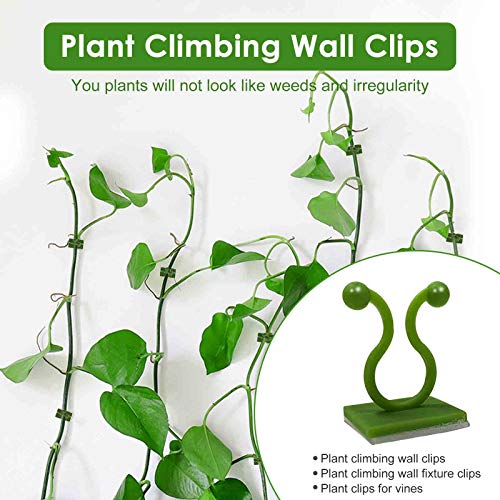 Lasyman Plant Clips-Plant Climbing Wall Fixture Clips 110PCS, Invisible Clips for Climbing Plants，Self-Adhesive Plant Wall Clips for Plant Support, Sticky Plant Fixture Clips Plant Holder for Pothos