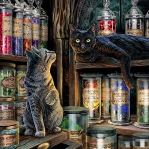 ceaco - night spirit - magical emporium - 550 piece jigsaw puzzle