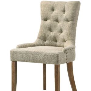 Acme Furniture Yotam Side Chair, Beige