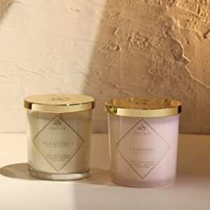 LEVITATE | Everyday Essentials 10oz Scented Candles (Milk & Honey)