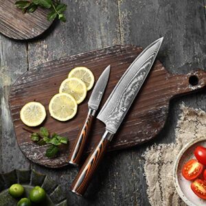 Jourmet 3PC Damascus Knife Set with Japanese VG10 Super Steel Core, Professional 67-layer Handmade PAKKA Wood Handle with S/S 430 Bolster