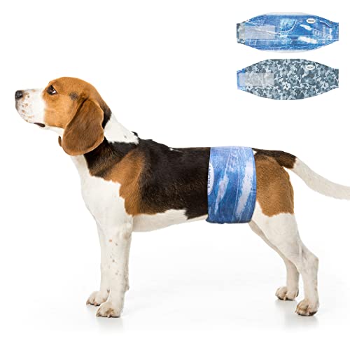 Dono Disposable Male Dog Wraps, Wider Doggie Puppy Diapers 48 Count Male Belly Bands, Super Absorbent, Leak-Proof Fit, Excitable Urination, Incontinence (S)