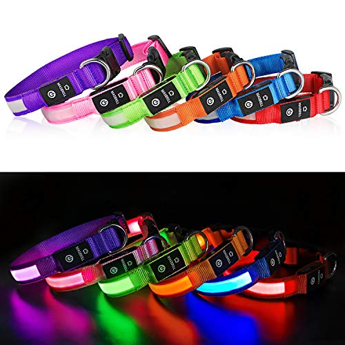 MASBRILL Light Up Dog Collar, Glow LED Dog Collar Rechargeable Lighted Dog Collar Flashing Night Walking Collar Waterproof, 4 Colors with 3 Sizes for Small Medium Large Dogs