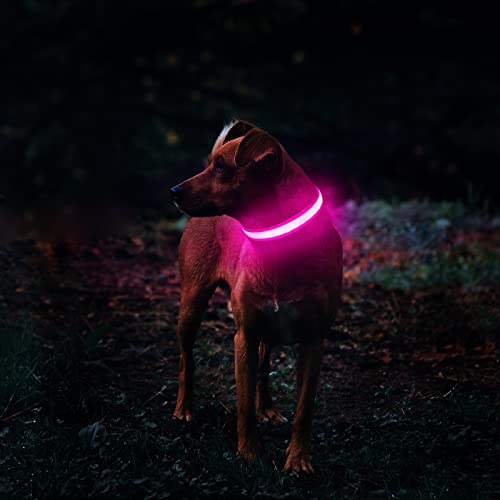 MASBRILL Light Up Dog Collar, Glow LED Dog Collar Rechargeable Lighted Dog Collar Flashing Night Walking Collar Waterproof, 4 Colors with 3 Sizes for Small Medium Large Dogs