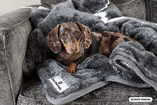 Pet Parents Pawtect Blanket, Premium Waterproof Cat & Dog Blanket with WickQuick & Sherpup Technology, Puppy Blanket, Waterproof Dog Blanket, Blankets for Dogs, Cat Blanket Slate 32x40