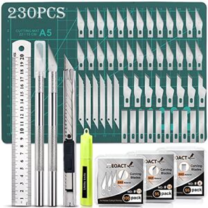 230 pcs hobby craft knife kit,215 pcs precision carving blades with 2 pcs craft knife, utility knife with 11 pcs art blades, scrapbooking stencil for diy art working cutting