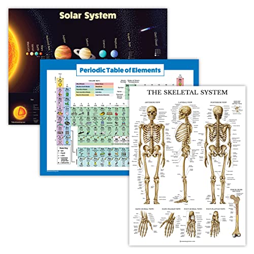 Palace Learning 3 Pack - Solar System Poster + Periodic Table of The Elements for Kids + Skeletal System Anatomy Chart (LAMINATED, 18" x 24")