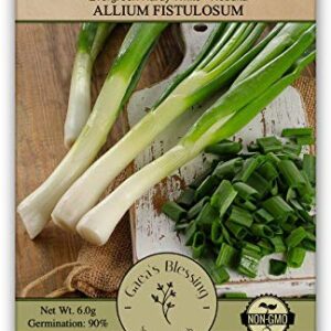 Gaea's Blessing Seeds - Scallion Seeds - Non-GMO Seeds with Easy to Follow Planting Instructions - Bunching Evergreen Hardy White Nebuka 90% Germination Rate 3.5g