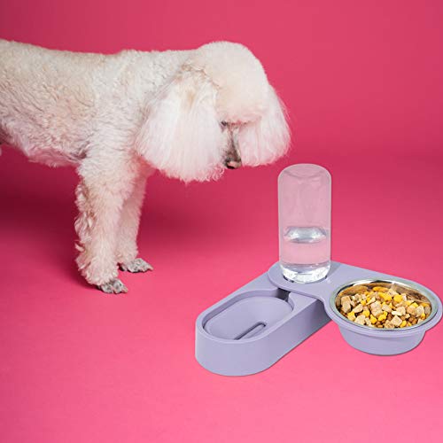 balacoo Rabbit Water Bottle Pet Water Dispenser Cat Feeder Dog Food Container Pet Feeder Water Dispenser Dog Cat Food Dispenser Bowls Collapsible Water Bottle