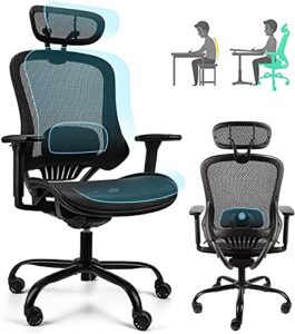 ergousit ergonomic mesh office chair, high back desk chair with adjustable height, backrest and lumbar support, 3d armrests,swivel executive drafting chair (black)