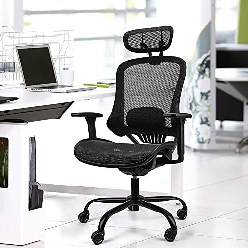 Ergousit Ergonomic Mesh Office Chair, High Back Desk Chair with Adjustable Height, Backrest and Lumbar Support, 3D Armrests,Swivel Executive Drafting Chair (Black)