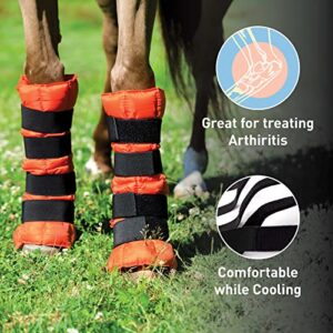 HORZE Pro Cooling Therapy Ice Wrap for Horses, Quick Cooling Gel Ice Pack with Flexible Straps, 1 Size - Pair - Jet Black